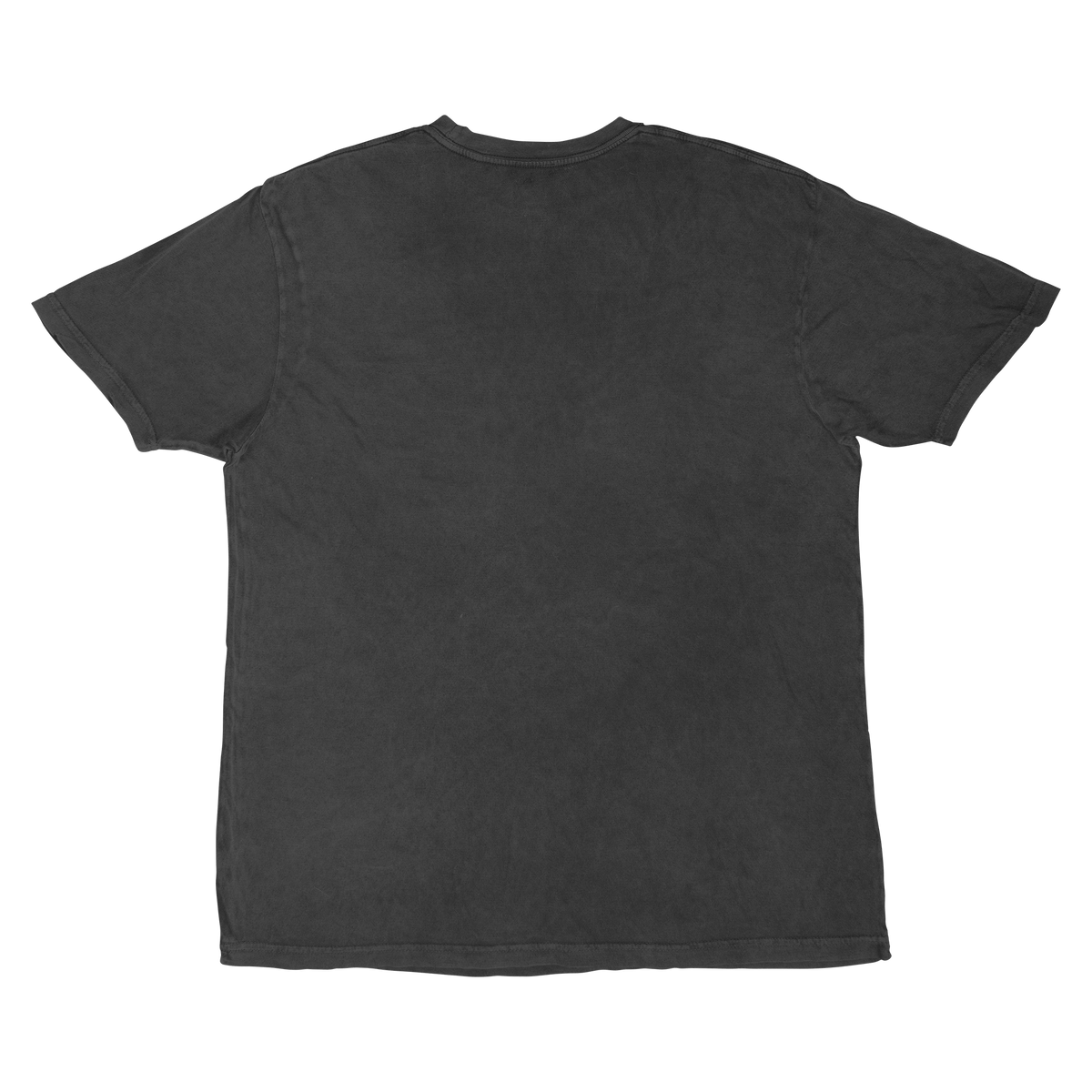 Toronto Sceptres Adult Stadium Essentials Issue Pride Vintage T-Shirt – The Official US Shop of ...